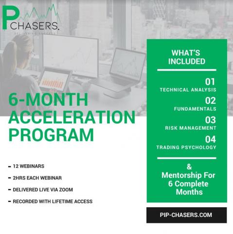 pipchasers's products | msnho.com