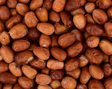 Wholesale Oleaster Powder | Msnho!