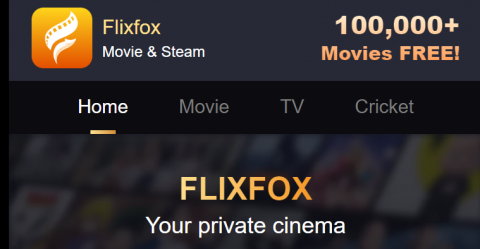 Wholesale Filxfox | Msnho!